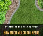 How Much Mulch Do I Need? - Everything You Need To Know