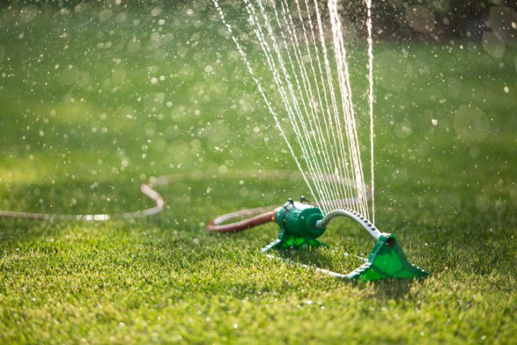 Setting Up a Garden Sprinkler System