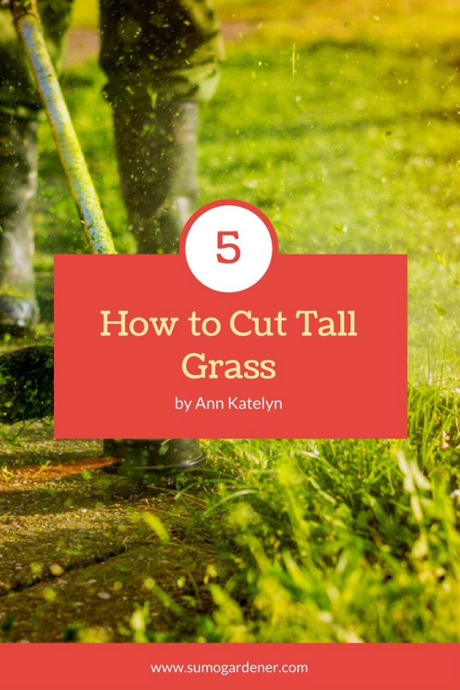 How To Cut Tall Grass: The Right Way To Mow - Sumo Gardener