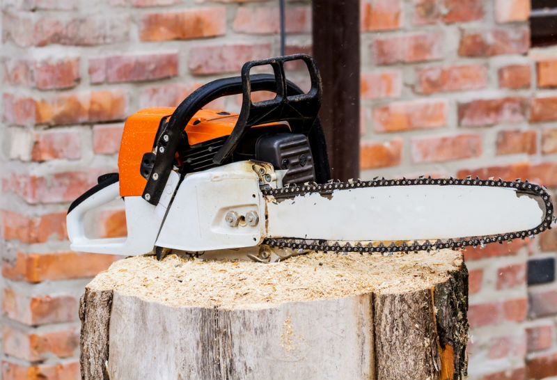 Chainsaws & Equipments - Sumo Gardener