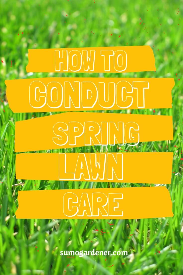 How to Conduct Spring Lawn Care - Sumo Gardener