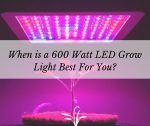 When is a 600 Watt LED Grow Light Best For You? - Sumo Gardener