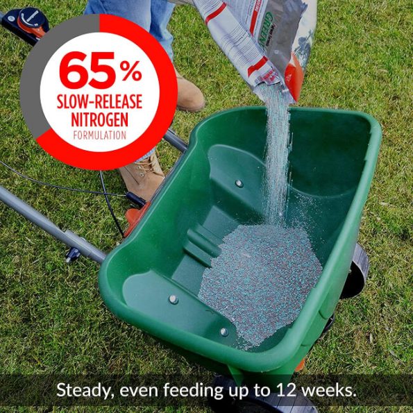 9 Best Lawn Fertilizer For Spring 2022 Reviews