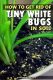 How to Get Rid of Tiny White Bugs in Soil - Sumo Gardener