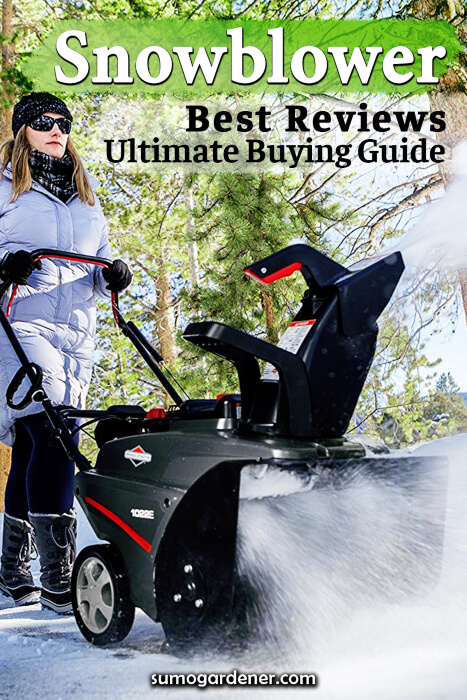 7 Best Snowblower Reviews for 2025 | Ultimate Buying Guide