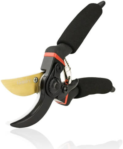 7 Best Pruning Shears for 2025 to Keep Your Garden Healthy
