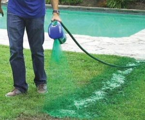 DIY Hydroseeding | Complete Guide - Sumo Gardener