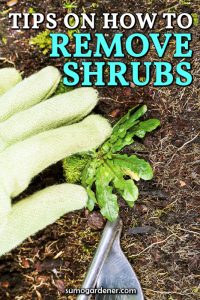 How to Remove Shrubs and Bushes and Their Roots