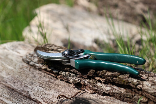 7 Best Pruning Shears for 2025 to Keep Your Garden Healthy