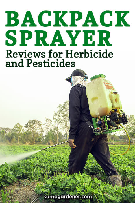 5 Best Backpack Sprayer 2022 Reviews For Herbicide and Pesticides