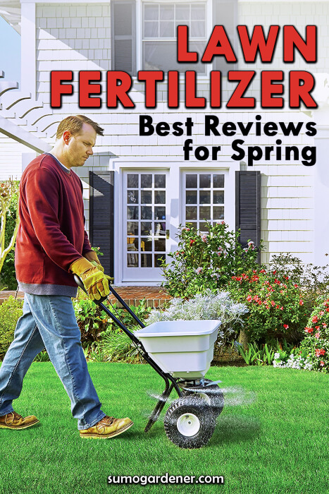 9 Best Lawn Fertilizer for Spring 2023 Reviews