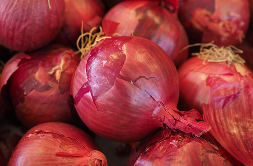Different Onion Varieties Lists That You Should Know - Sumo Gardener