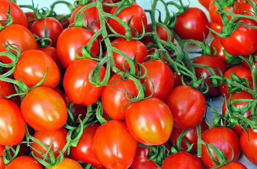 5 Sweetest Tomatoes to Grow at Home - Sumo Gardener