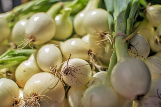 Different Onion Varieties Lists That You Should Know - Sumo Gardener