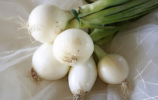 Different Onion Varieties Lists That You Should Know - Sumo Gardener