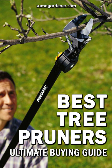 5 Best Tree Pruners for 2025 (Reviews and Buying Guide)