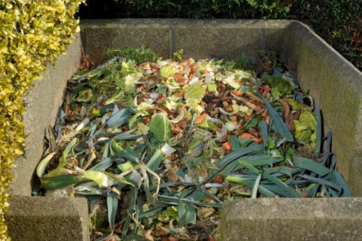 How to Build a Sustainable Garden in Your Backyard - Sumo Gardener