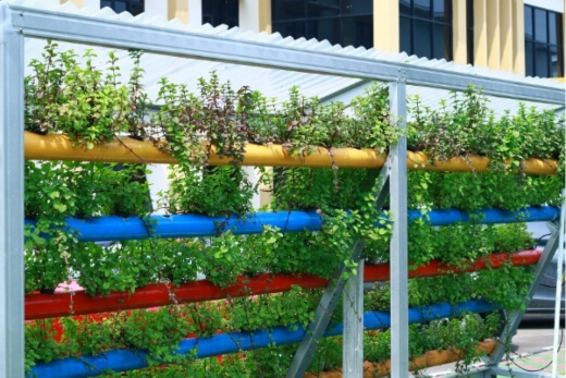 Ebb and Flow Hydroponic System (Flood and Drain)