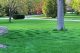How To Level a Bumpy Lawn - Causes and Fixes | Sumo Gardener