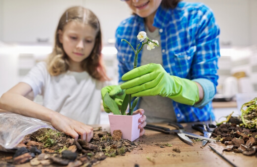 5 Steps to a Successful School Gardening Project for Your Students ...