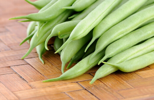 Best Hydroponic Vegetables, Herbs, and Fruits to Grow at Home - Sumo ...