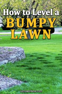 How To Level a Bumpy Lawn - Causes and Fixes | Sumo Gardener