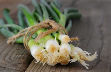 Best Hydroponic Vegetables, Herbs, and Fruits to Grow at Home - Sumo ...