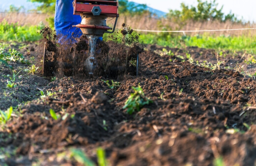 DIY Hydroseeding | Complete Guide - Sumo Gardener