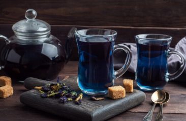 Blue Ternate | Ultimate Growing and Care Guide - Sumo Gardener