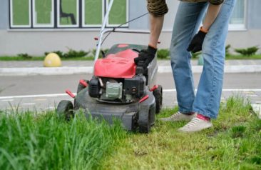 Monkey Grass Ultimate Grow & Care Guide - Sumo Gardener