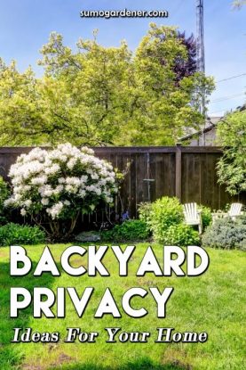 Backyard Privacy Ideas For Your Home - Sumo Gardener