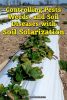 Soil Solarization: Control Pests, Weeds and Soil Diseases - Sumo Gardener