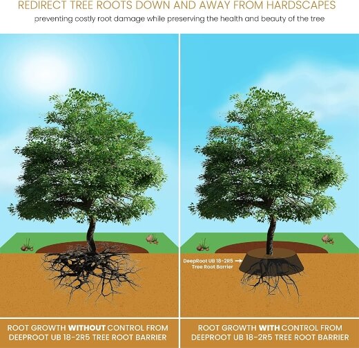 10 Ways to Deal with Tree Roots in Pipes - Sumo Gardener