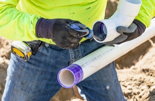 10 Ways to Deal with Tree Roots in Pipes - Sumo Gardener