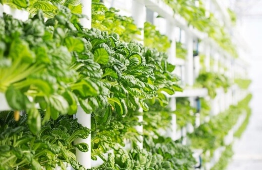 Artificial Intelligence Farming | AI’s Role in the Future of Gardening ...