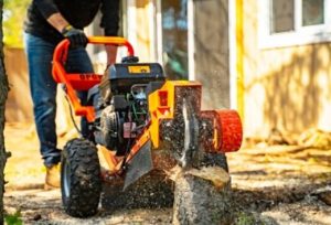 6 Best Tree Stump Grinders for 2025 - Sumo Gardener