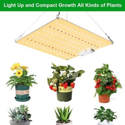 7 Best 600 Watt LED Grow Lights for 2022 - Sumo Gardener