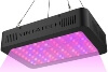 7 Best 600 Watt LED Grow Lights for 2025 - Sumo Gardener