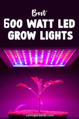 7 Best 600 Watt LED Grow Lights for 2025 - Sumo Gardener