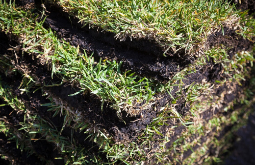 10 Best Sod Cutters for 2025 | Buyers' Guide