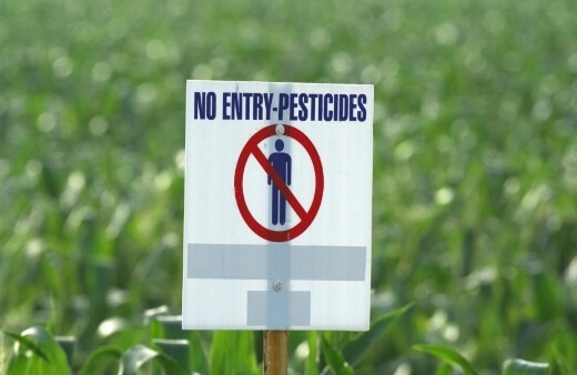 Organic Lawn Care and Maintenance Tips: How To Do Effectively