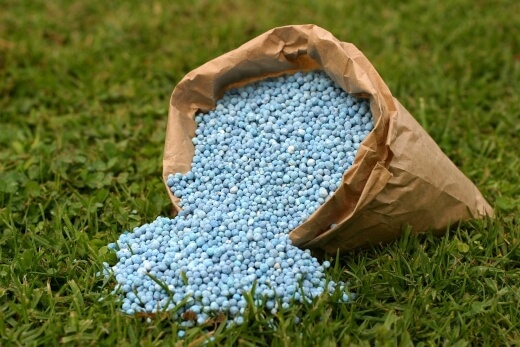 How to Use 10 10 10 Fertilizer In Your Garden and Lawn