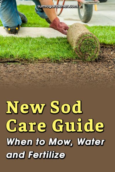 New Sod Care Guide – When to Mow, Water and Fertilize