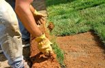 New Sod Care Guide – When to Mow, Water and Fertilize