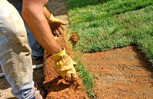 New Sod Care Guide – When to Mow, Water and Fertilize