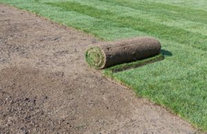 New Sod Care Guide – When to Mow, Water and Fertilize