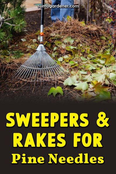 5 Best Sweepers and Rakes for Pine Needles (2025 Reviews)