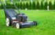11 Best Tools for Lawn Care You Need to Have - Sumo Gardener