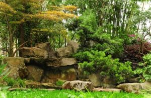 Best Types of Landscaping Rocks for Your Garden