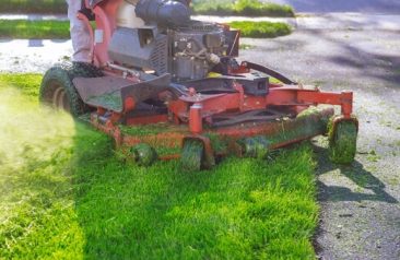 Best Ride On Mower with Catcher for Grass - 2024 Reviews